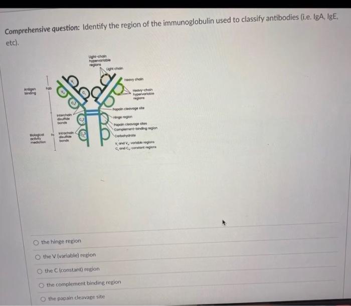 Solved Comprehensive Question Identify The Region Of The