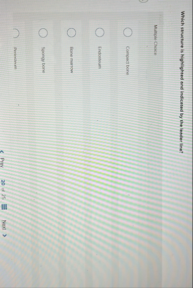 Solved Which structure is highlighted and indicated by the | Chegg.com