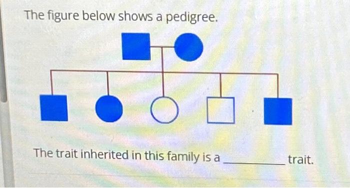 Solved The figure below shows a pedigree. The trait | Chegg.com