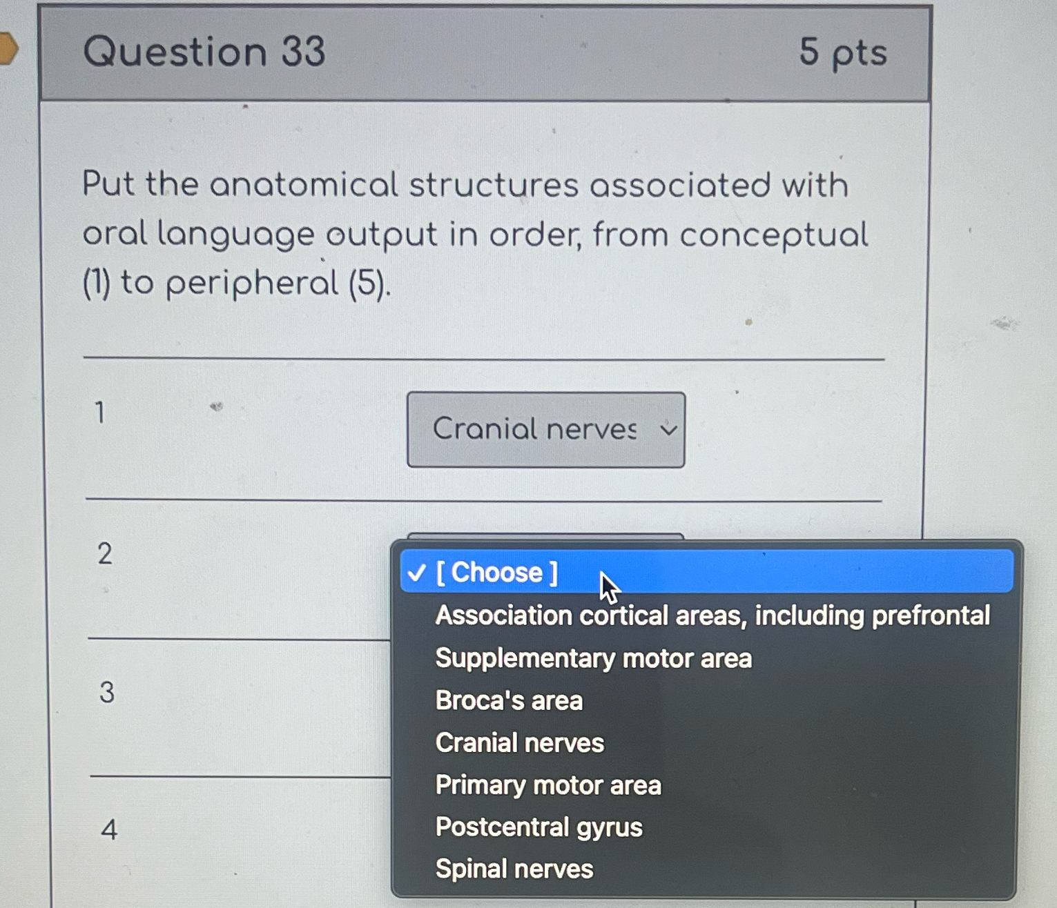Solved Question 335 ﻿ptsPut the anatomical structures | Chegg.com
