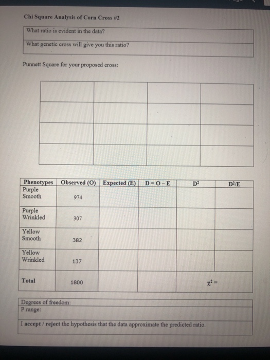 Solved Chi Square Analysis of Corn Cross #2 What ratio is | Chegg.com