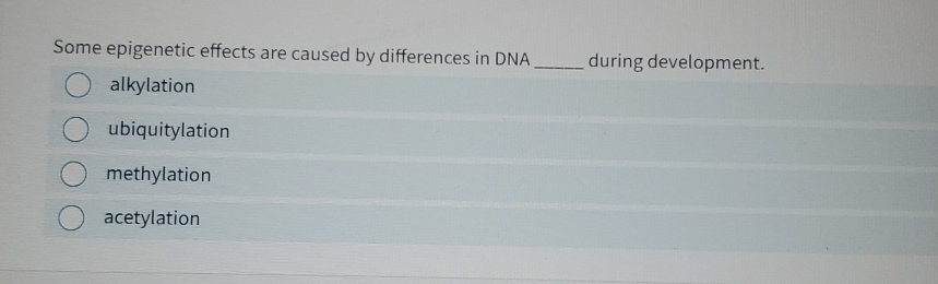 Solved Some epigenetic effects are caused by differences in | Chegg.com