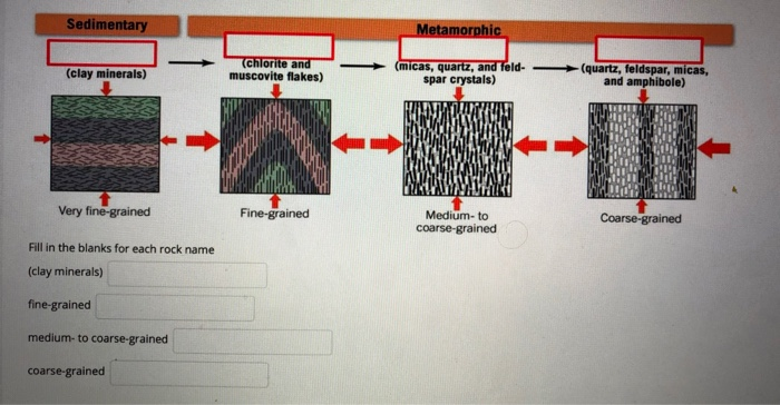Solved What is another name for the protolith of a a | Chegg.com