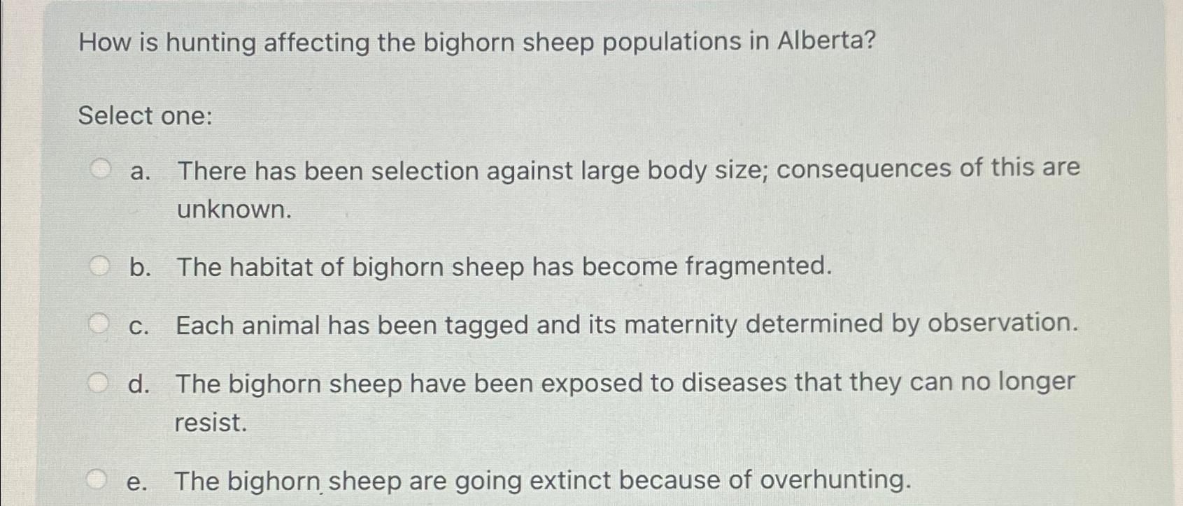 Solved How is hunting affecting the bighorn sheep | Chegg.com