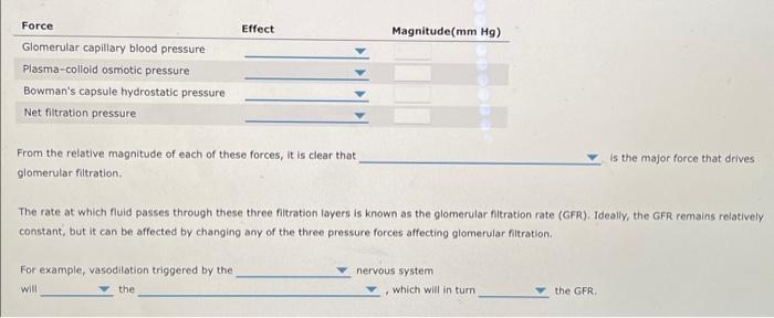 Solved The first step in renal filtration and urine | Chegg.com