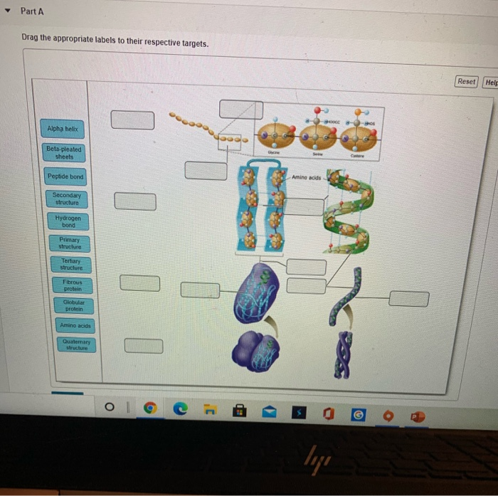 Solved Part A Drag the appropriate labels to their | Chegg.com