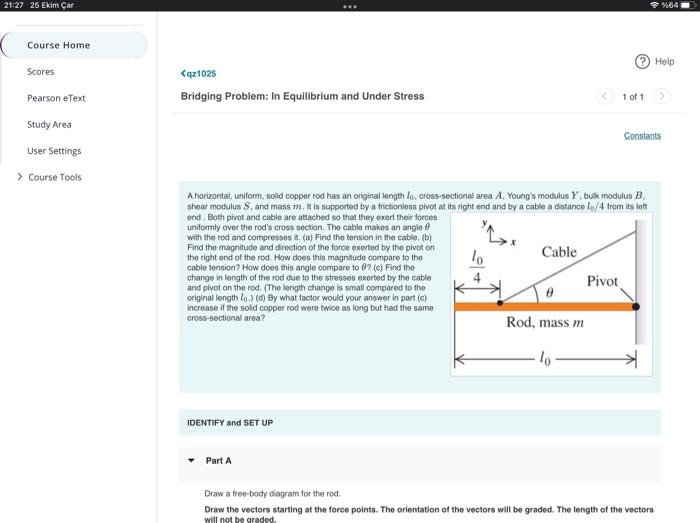 Solved q21025 Bridging Problem: In Equilibrium and Under | Chegg.com