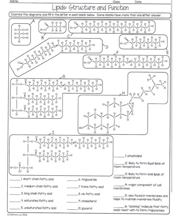 Name: Cass Date Lipids: Structure and Function | Chegg.com