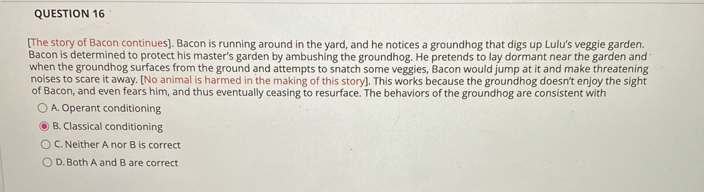 Solved QUESTION 16[The story of Bacon continues]. ﻿Bacon is | Chegg.com