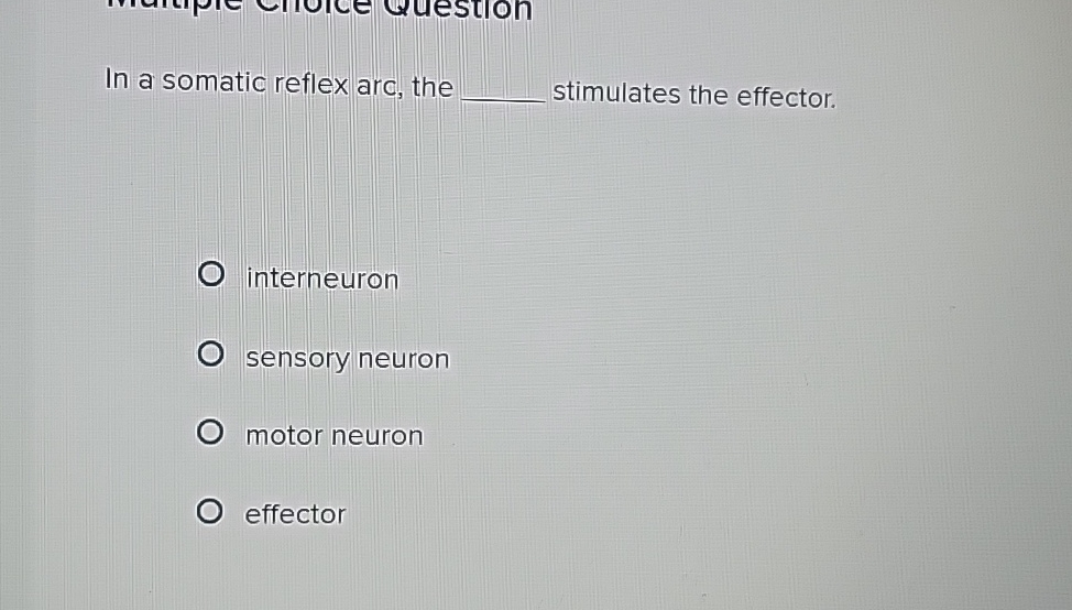 Solved In a somatic reflex arc, the q, ﻿stimulates the | Chegg.com