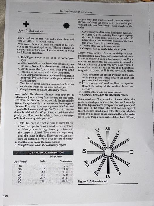 Sensory Perception in Humans Figure 3 Blind spot test | Chegg.com