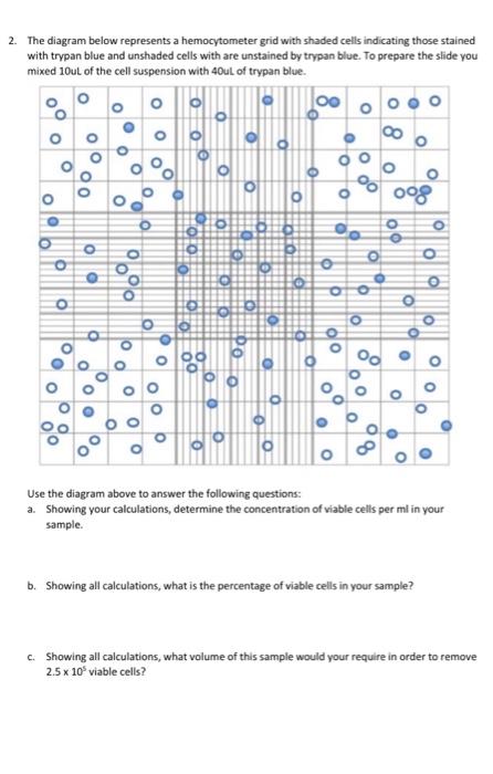 Solved 2. The diagram below represents a hemocytometer grid | Chegg.com
