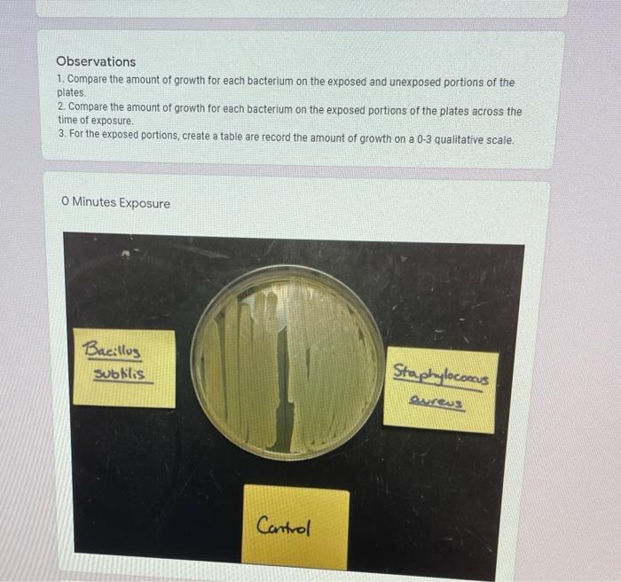 Solved Procedure: Determine the Effectiveness of UV Light at | Chegg.com