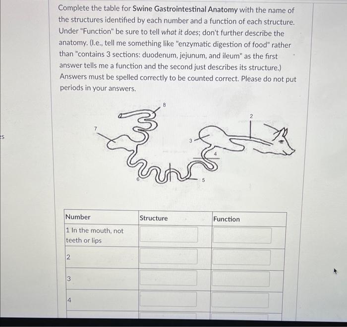 Solved Complete the table for Swine Gastrointestinal Anatomy | Chegg.com