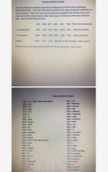 Solved Protein Synthesis Game For this activity you need to | Chegg.com