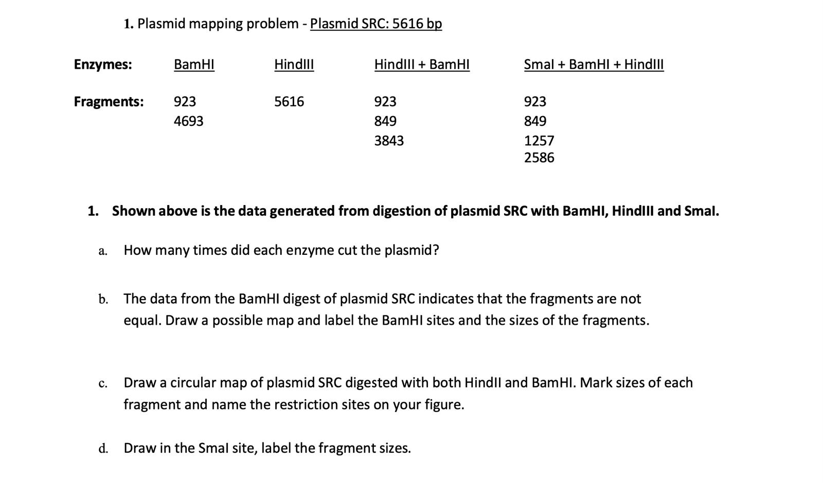 Solved Plasmid mapping problem - ﻿Plasmid SRC: 5616bpShown | Chegg.com
