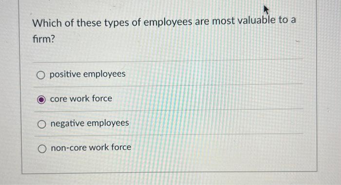 Solved Which of these types of employees are most valuable | Chegg.com