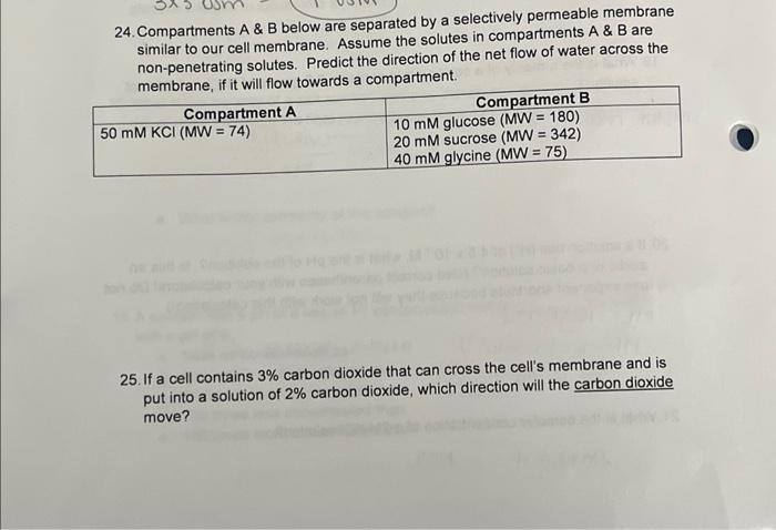 Solved 24. Compartments A&B below are separated by a | Chegg.com