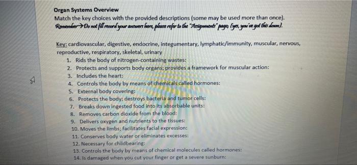 Solved Organ Systems Overview Match the key choices with the | Chegg.com