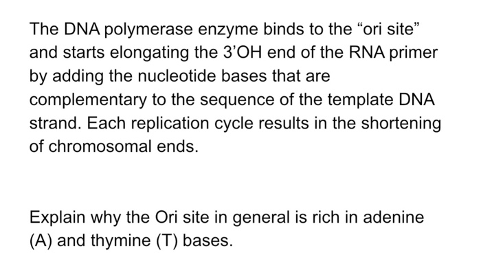 Solved The DNA polymerase enzyme binds to the "ori site" and | Chegg.com