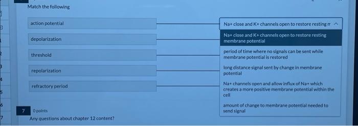Solved Match the following action potential depolarization | Chegg.com