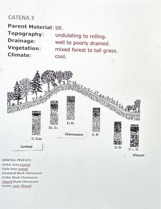 Solved 3. Catena 3 represents a common soil sequence in the | Chegg.com