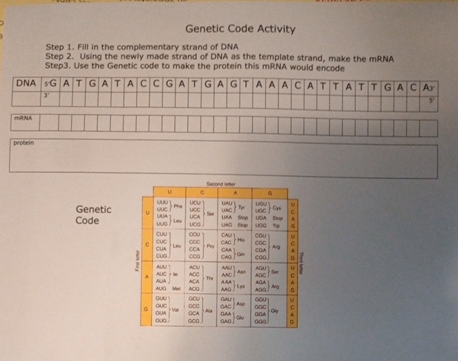 Solved Genetic Code ActivityStep 1. ﻿Fill in the | Chegg.com