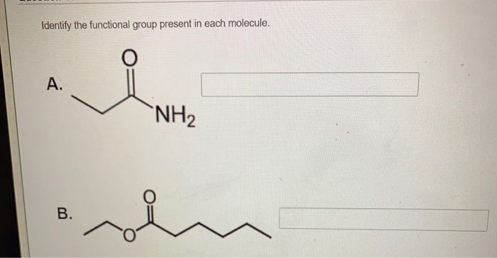 Solved Identify the functional group present in each | Chegg.com