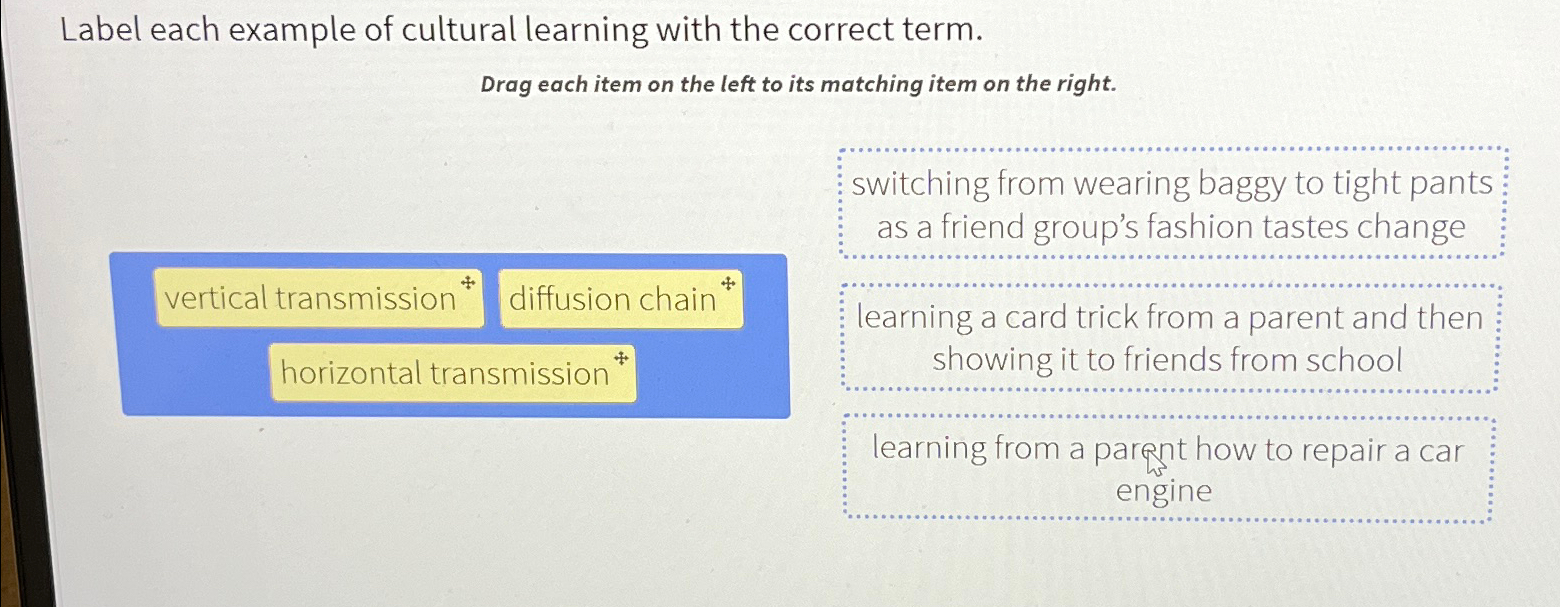 Solved Label each example of cultural learning with the | Chegg.com