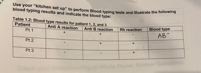 Solved Use your “kitchen set up” to perform Blood typing | Chegg.com