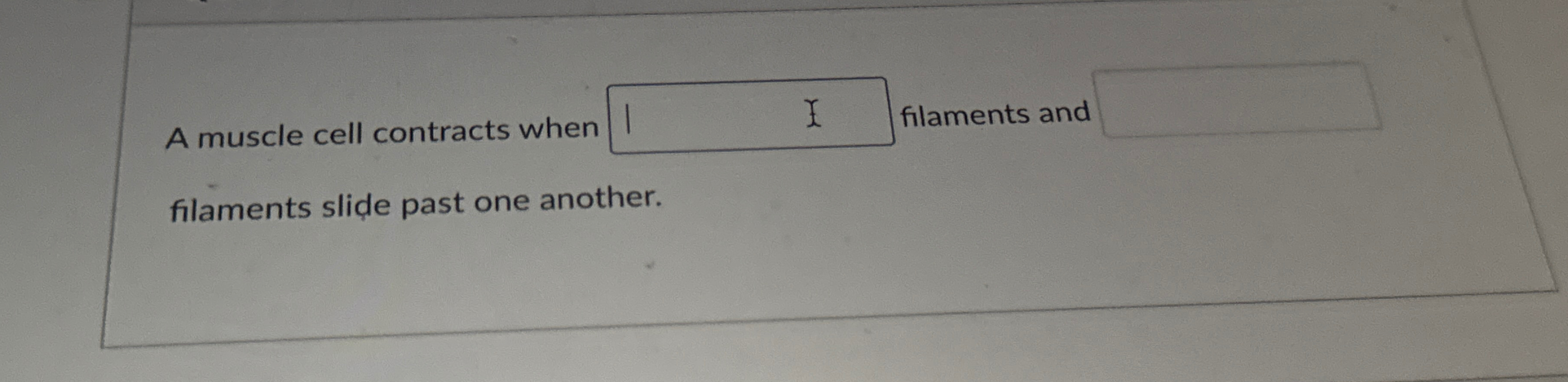 Solved A muscle cell contracts when ﻿filaments and | Chegg.com