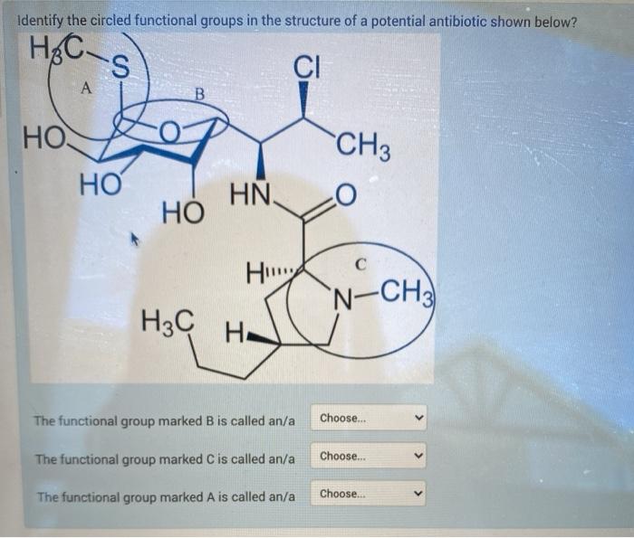 Solved Identify the circled functional groups in the | Chegg.com