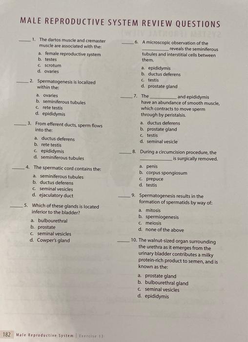 Solved MALE REPRODUCTIVE SYSTEM REVIEW QUESTIONS 6. A | Chegg.com
