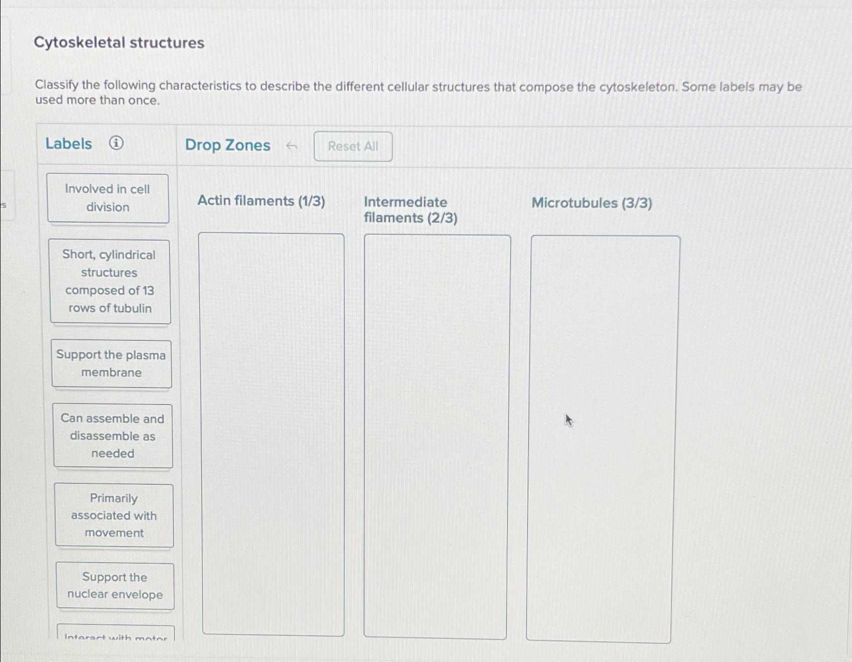 Solved Cytoskeletal structuresClassify the following | Chegg.com