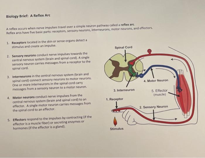 Solved Part 4: What's Wrong with the Patients? 1. Use the | Chegg.com