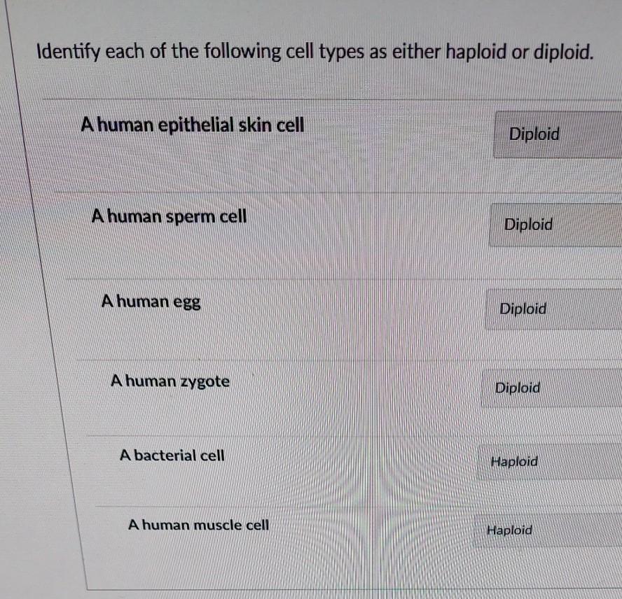 Solved Identify each of the following cell types as either | Chegg.com