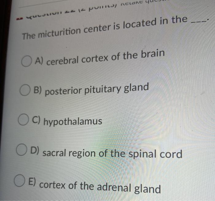 Solved yuuuu! Purrs nelane The micturition center is located | Chegg.com