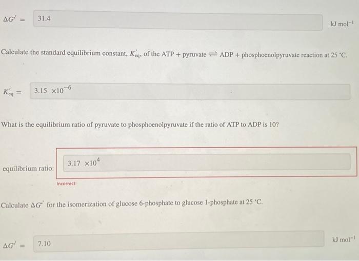 Solved Please just answer the question with a red box around | Chegg.com