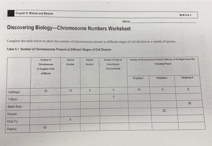 Solved Discovering Biology-Chromosome Numbers Worksheet | Chegg.com