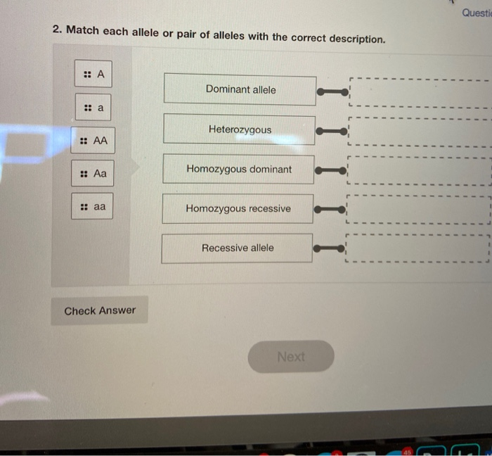 Solved Questic 2. Match each allele or pair of alleles with | Chegg.com