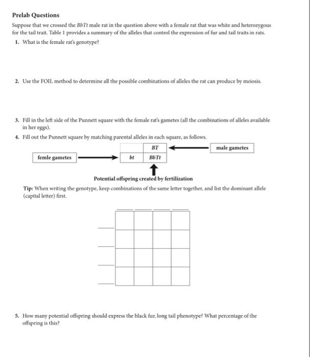 Solved What if we are interested in two phenotypic traits in | Chegg.com