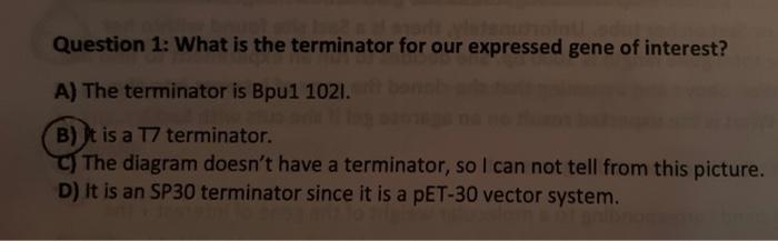 Solved PET-30 EK/LIC enterokinase site thrombin site STag | Chegg.com