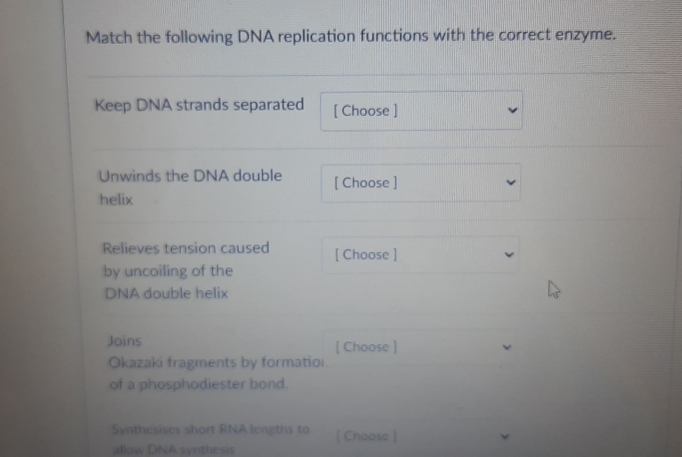 Solved Match the following DNA replication functions with | Chegg.com