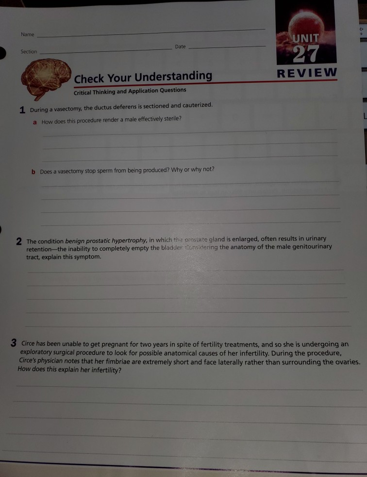 Solved Name UNIT Date Section 27 REVIEW Check Your | Chegg.com