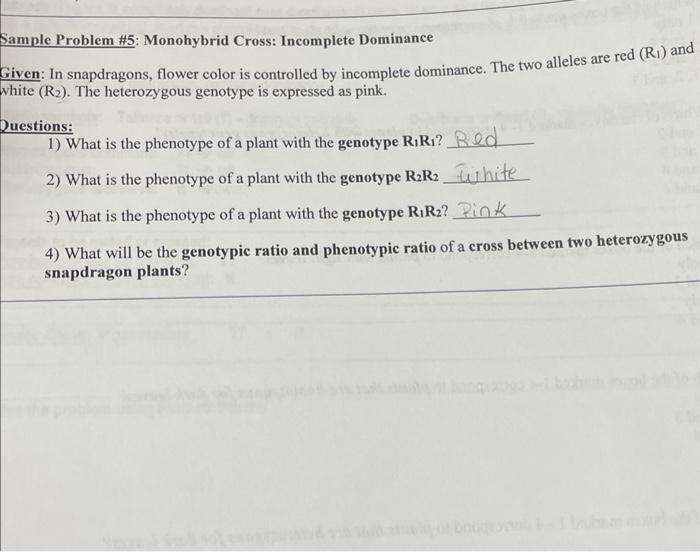 Solved Sample Problem #5: Monohybrid Cross: Incomplete | Chegg.com