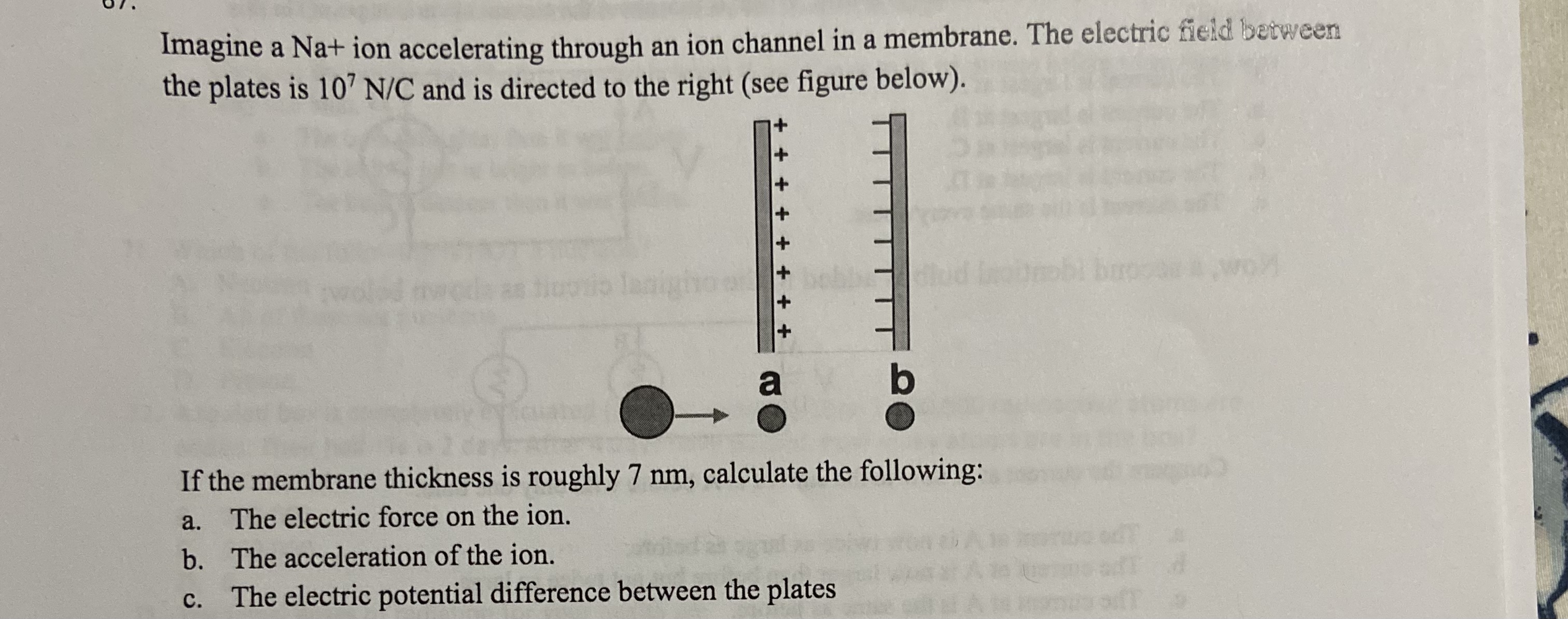 Solved Imagine a Na+ ﻿ion accelerating through an ion | Chegg.com