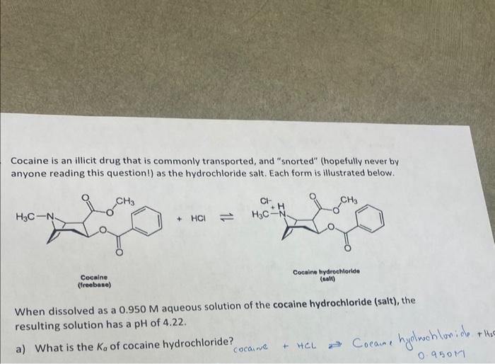 Solved Cocaine is an illicit drug that is commonly | Chegg.com
