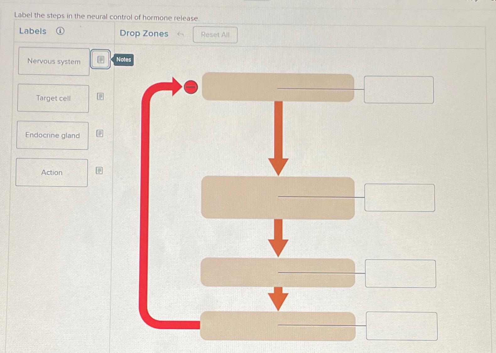 Solved Label the steps in the neural control of hormone | Chegg.com