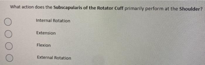 Solved What action does the Subscapularis of the Rotator | Chegg.com
