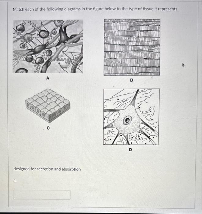 Solved Match each of the following diagrams in the figure | Chegg.com
